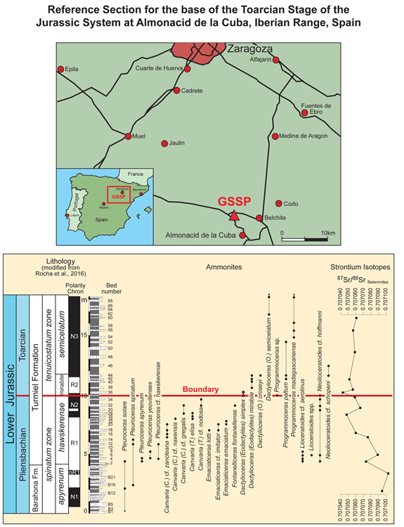 Geologic TimeScale Foundation - Stratigraphic Information