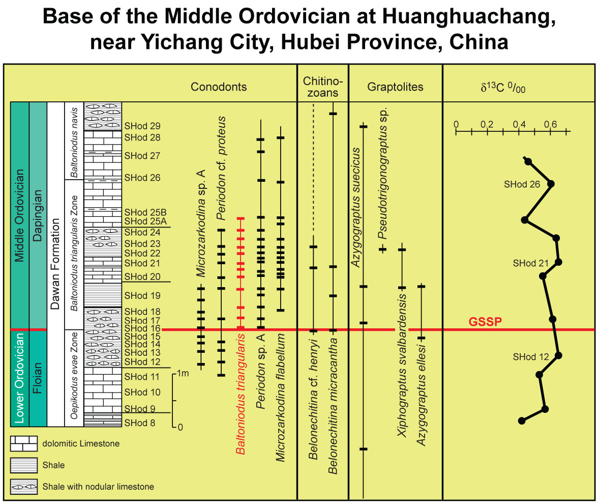 Geologic TimeScale Foundation - Stratigraphic Information