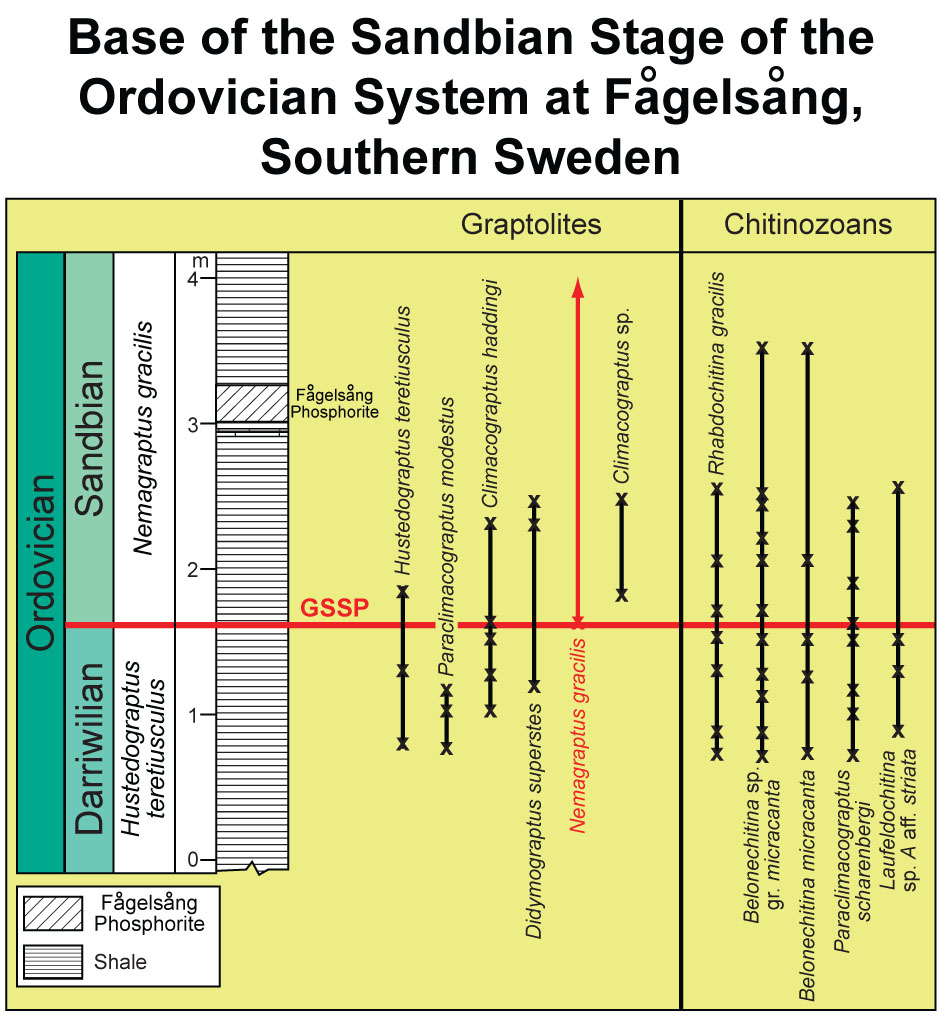 Geologic TimeScale Foundation - Stratigraphic Information